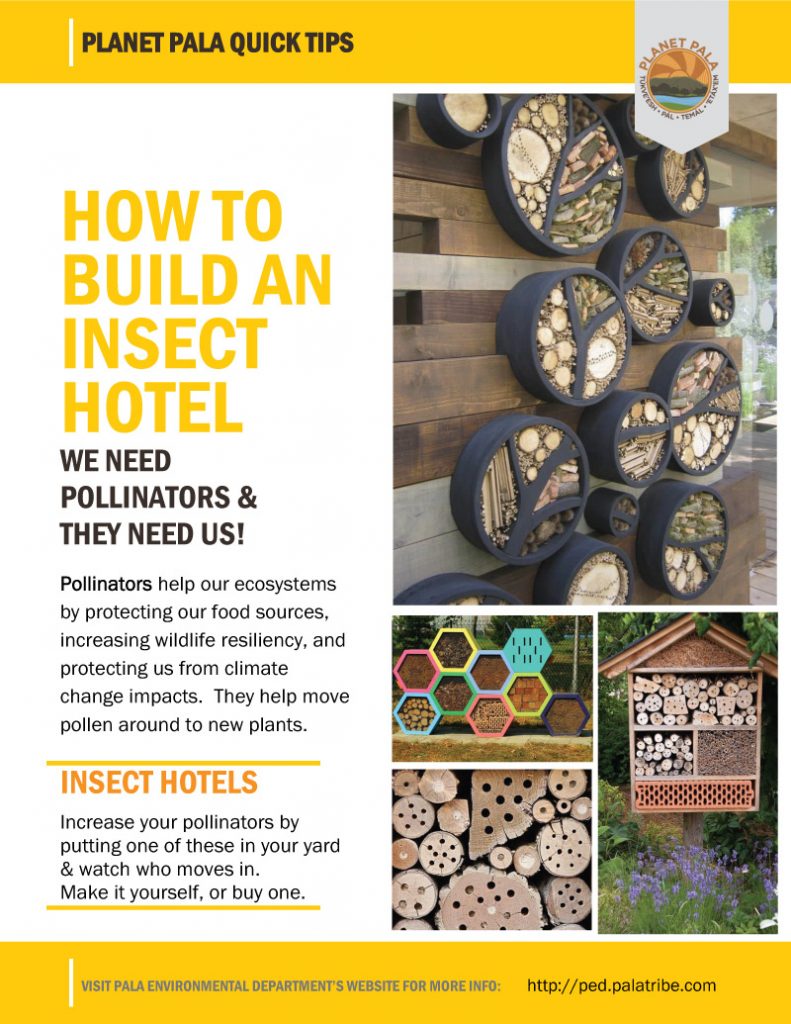 Planet Pala: DIY - How to Build an Insect Hotel - Pala Environmental ...