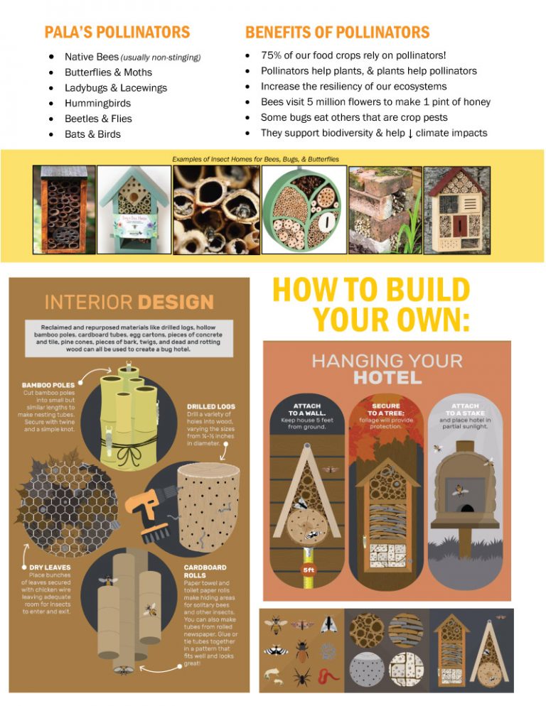 Planet Pala: DIY - How to Build an Insect Hotel - Pala Environmental ...